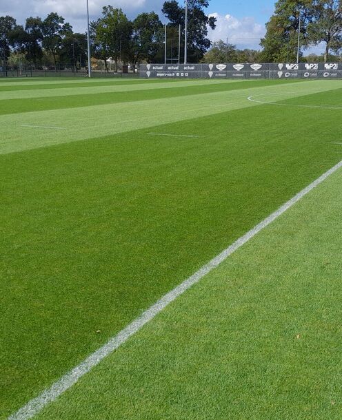 Terrains de Gootball en Gazon Naturel - SPORTINGSOLS