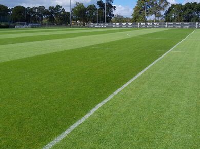 Gazon Synthétique pour Terrains de Football - SPORTINGSOLS